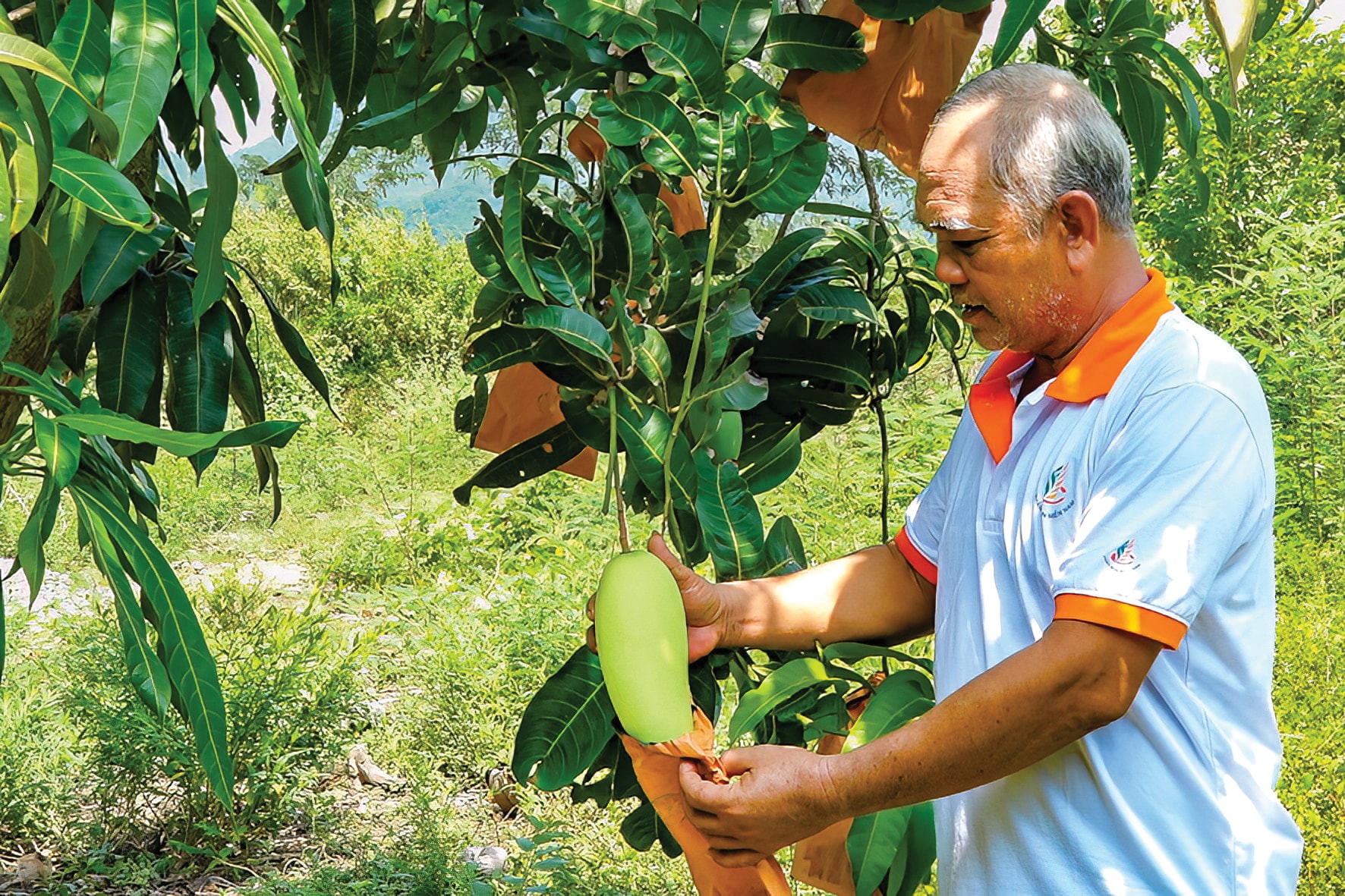 Song Luy considera el desarrollo económico como la tarea central