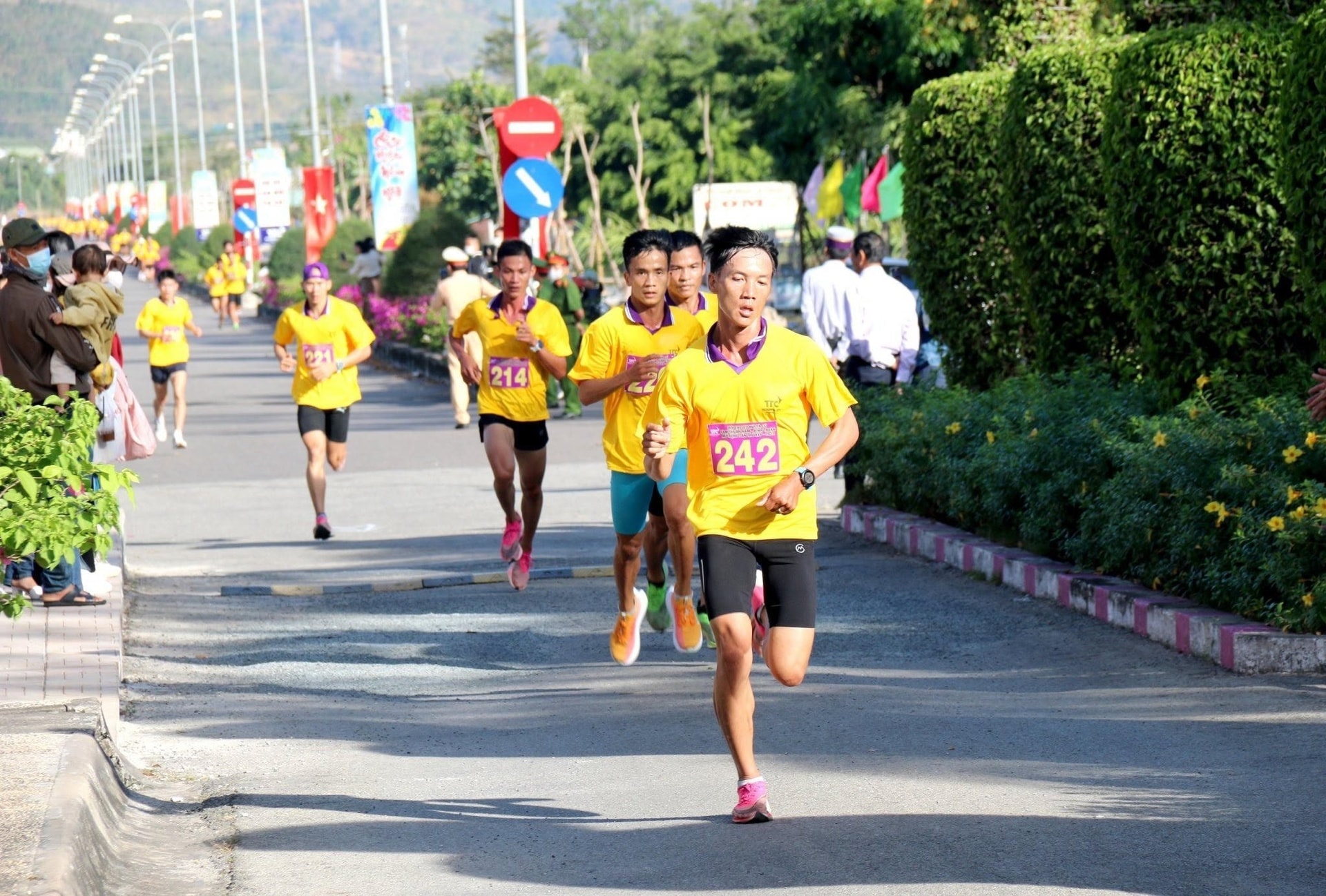 Lam Dong to host vibrant activities for the 2026 Year of the Horse ...