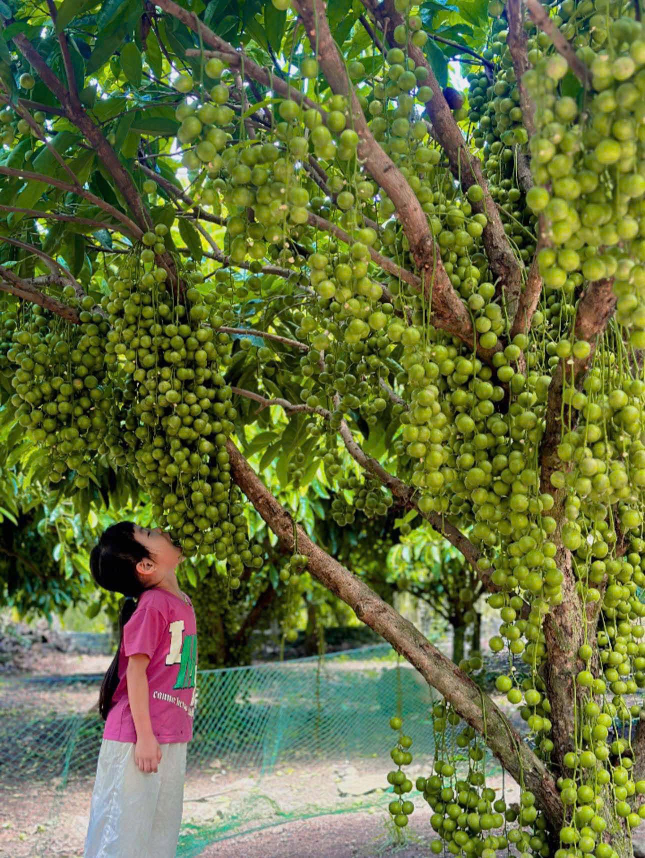 Khơi nguồn du lịch ở Trà Tân