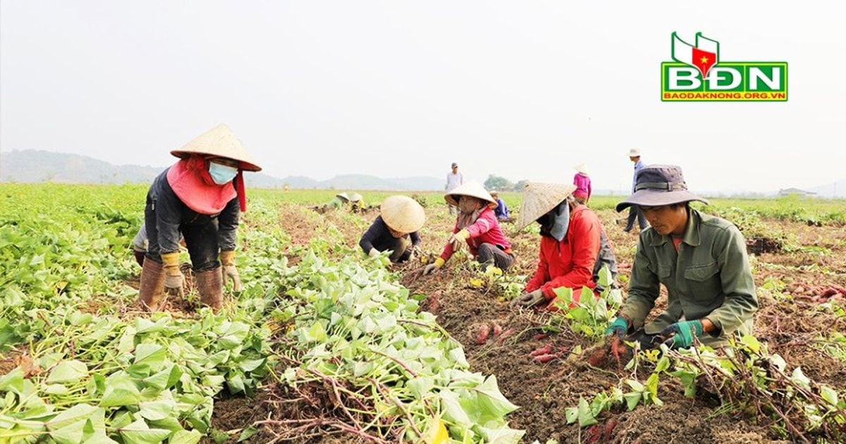 Njrăng lah pơk huy neh tăm tơm sa trau, reh, play