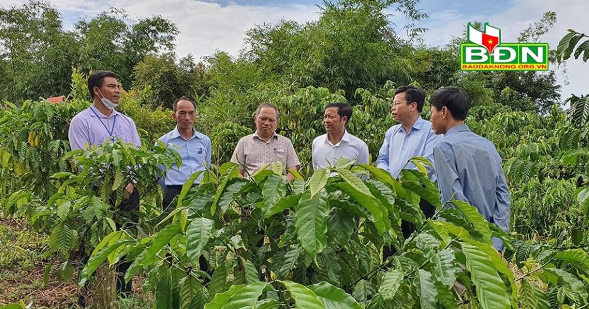Nau n'kôch dŭt: N'hao nuih n'hâm nsrôih găn nau jêr jŏk, hao tâm nau rêh