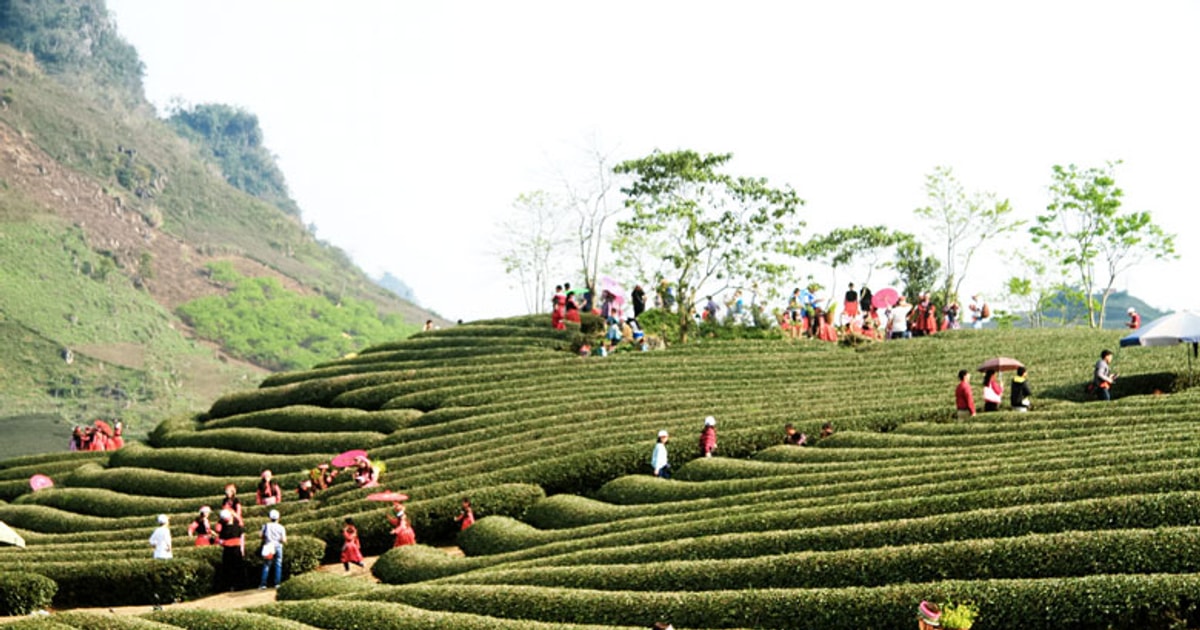 Đi qua những đồi chè