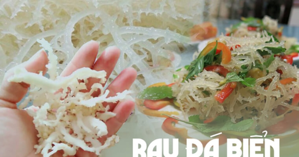 Rau đá biển - đặc sản được ví như 'lộc trời ban' ở đảo Phú Quý có giá ...