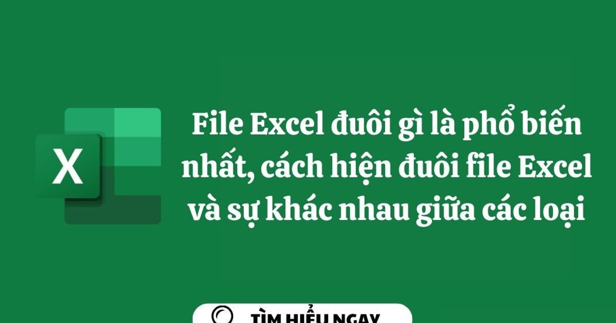 File Excel đuôi gì là phổ biến nhất, cách hiện đuôi file Excel và...