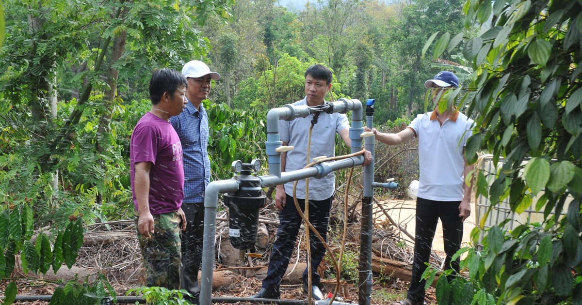 SACCR - Giải pháp tiết kiệm nước, tăng năng suất 15-20%