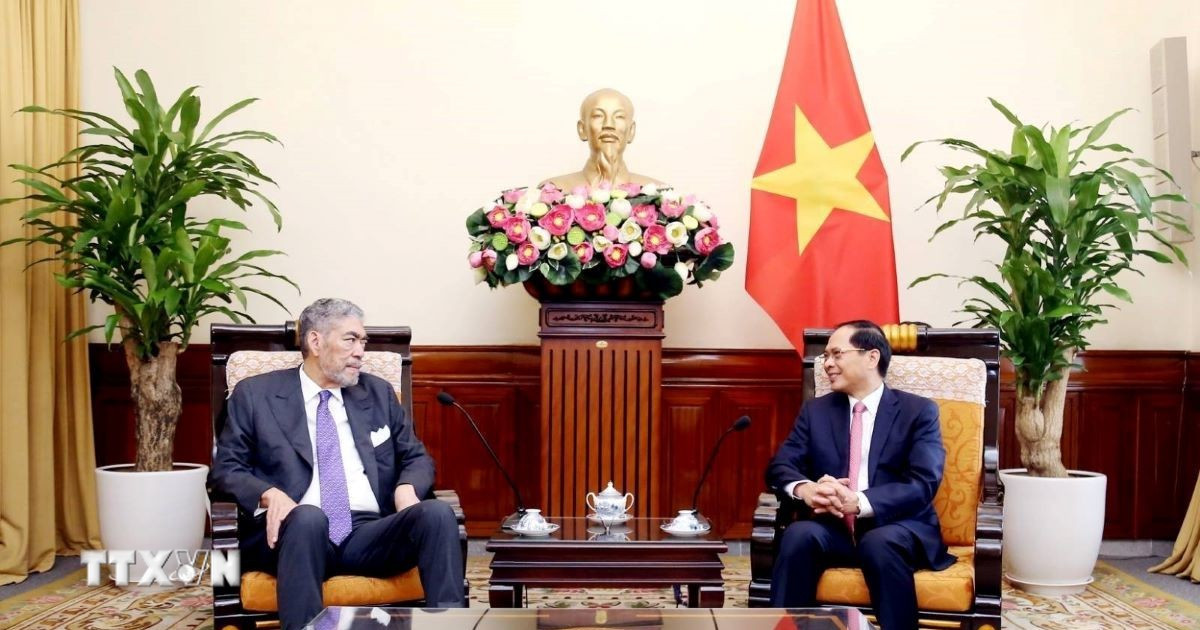 Làm sâu sắc hơn nữa quan hệ chính trị-ngoại giao tốt đẹp Việt Nam-CH ...