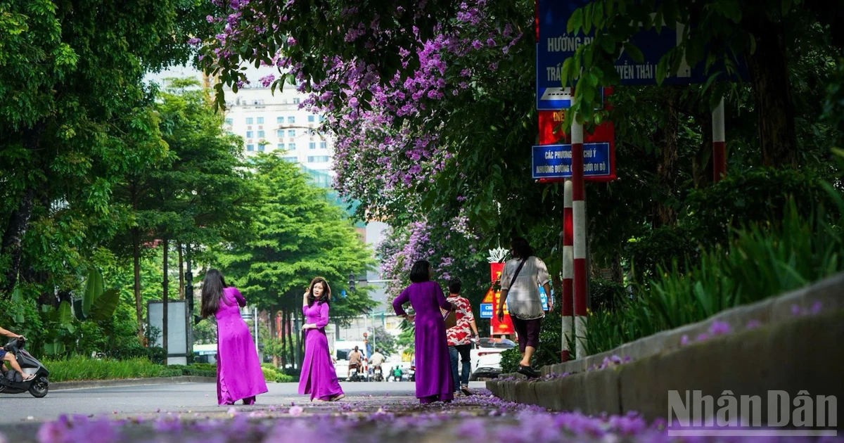 Việt Nam lọt Top 5 quốc gia lý tưởng cho du lịch một mình