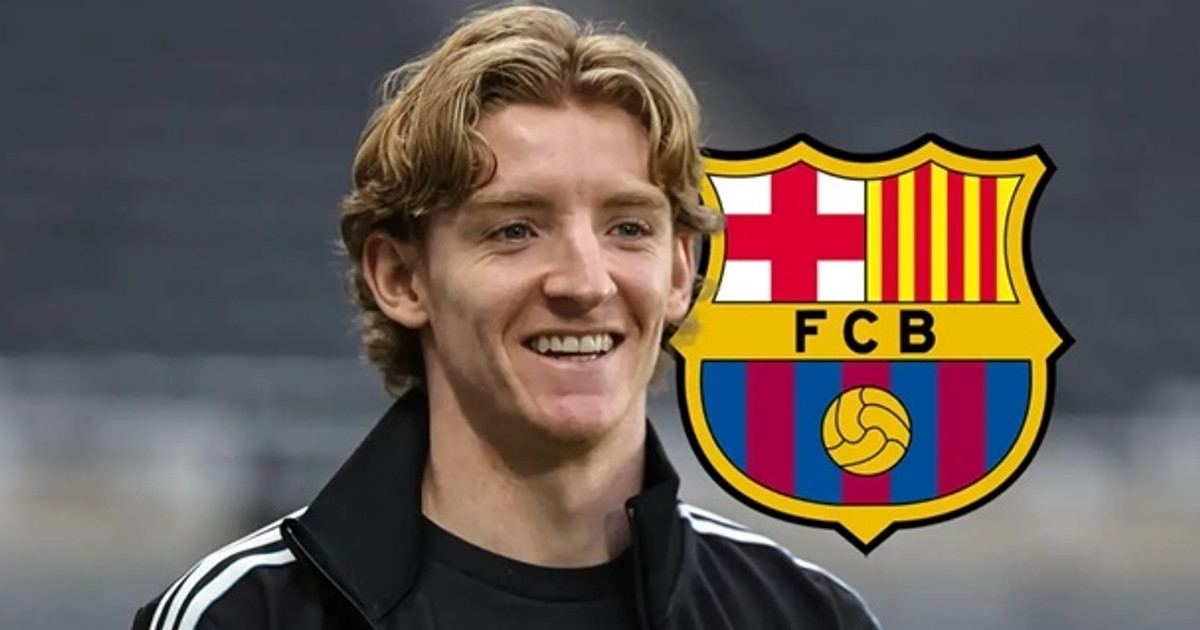 Sau bom tấn Anthony Gordon, Barcelona nhắm Julian Alvarez và Bernardo ...